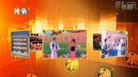 高清企业宣传片 政府专题片学校教育AE片头片尾模板制作