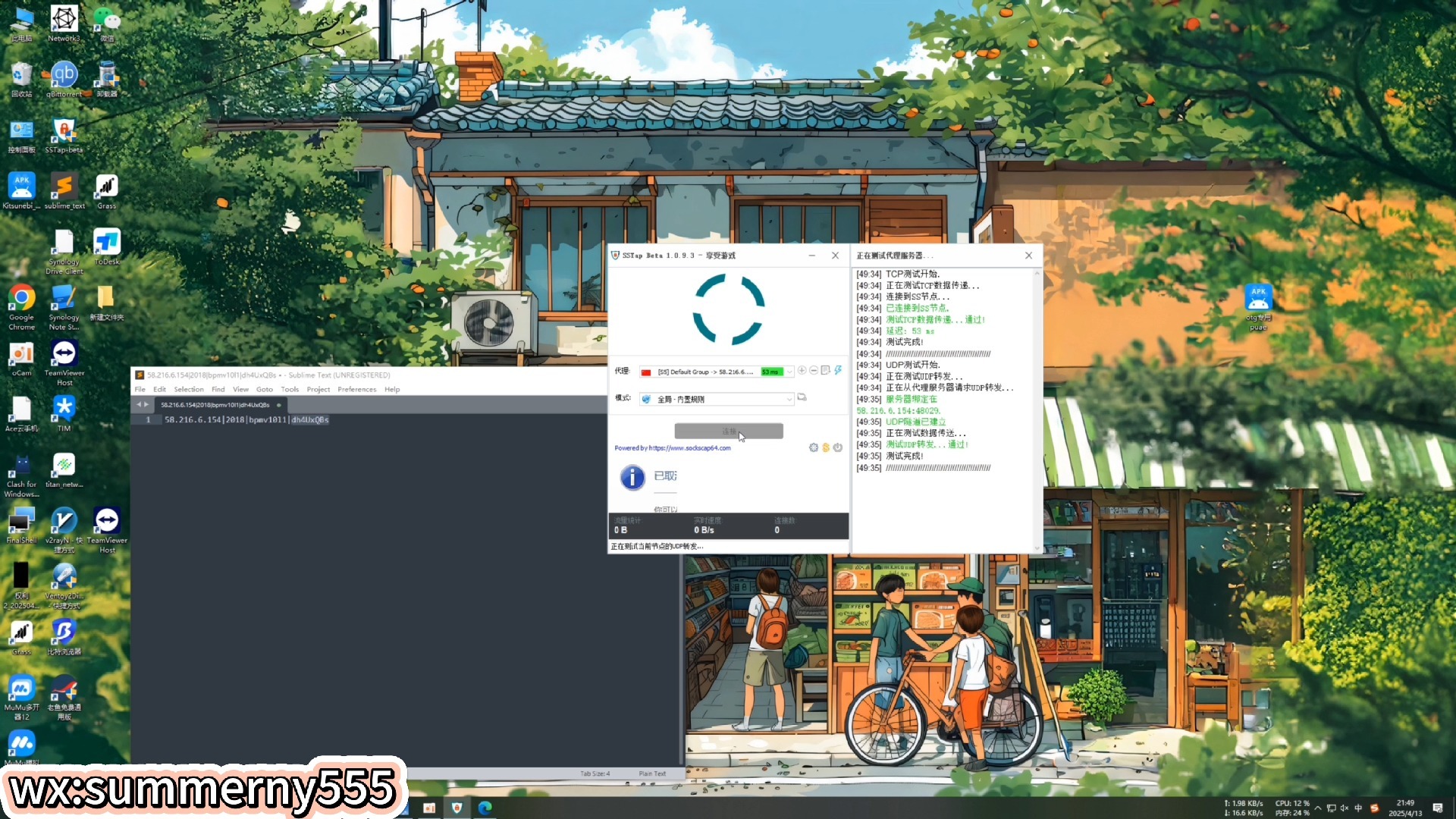 sstap详细配置教程,游戏搬砖必备技能～