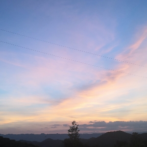 木头挪威 