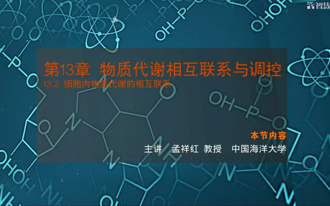 【中国海洋大学 生物化学】13.2细胞内物质代谢的相互联系