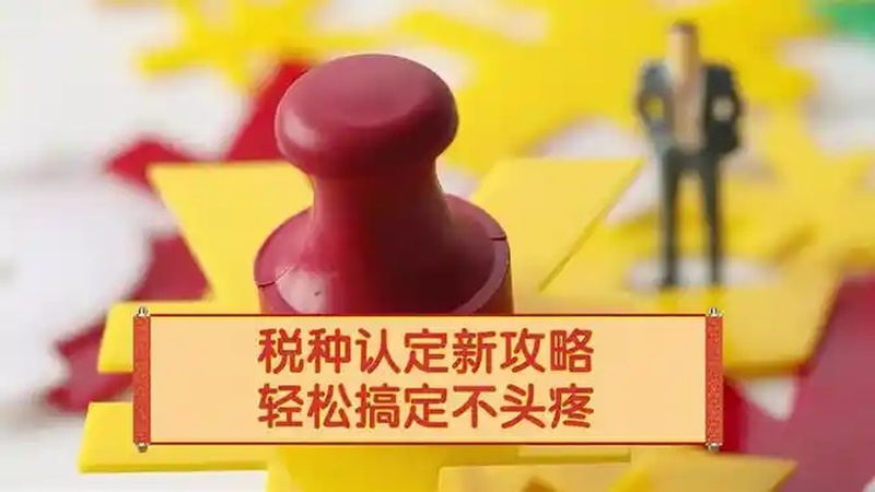 税种认定新攻略,轻松搞定不头疼