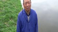 户外寻找野生甲鱼,近距离的让大家观看野生甲鱼的生活习性。印保林...