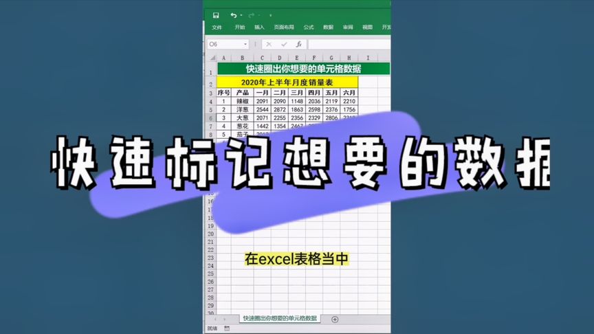 在excel表格中,快速圈出你想要的单元格数据。