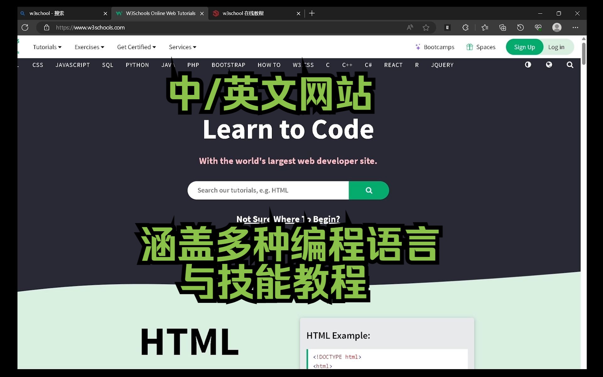 W3School | 编程技能教学网站,各种编程语言+练习+项目实战,自学编程...
