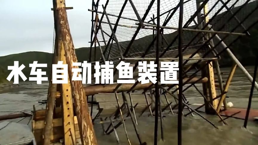 水车自动捕鱼装置,不需要电力,靠水流驱动,大鱼自动收集到鱼箱