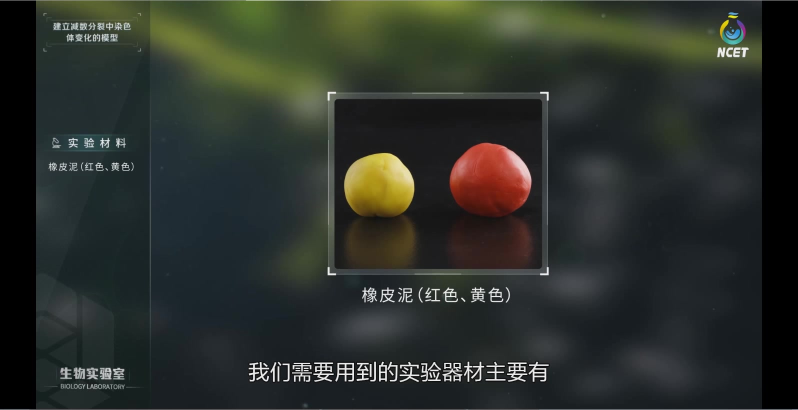 高中生物新教材-超清实验专题:15.建立减数分裂中染色体变化的模型