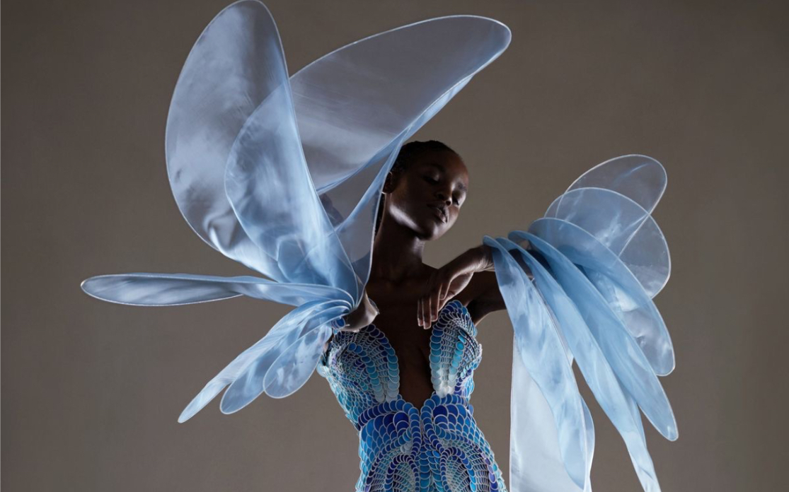 3D打印制作 iris van herpen
