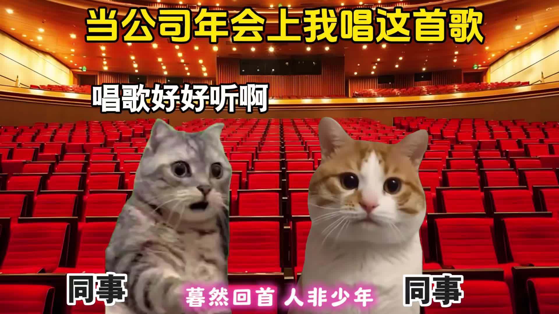 当公司年会上我唱这首歌!