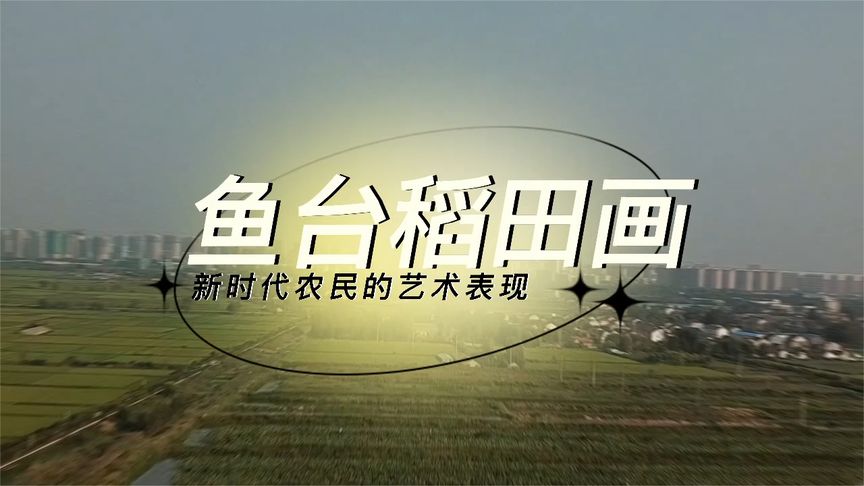 新时代农民的艺术表现形式