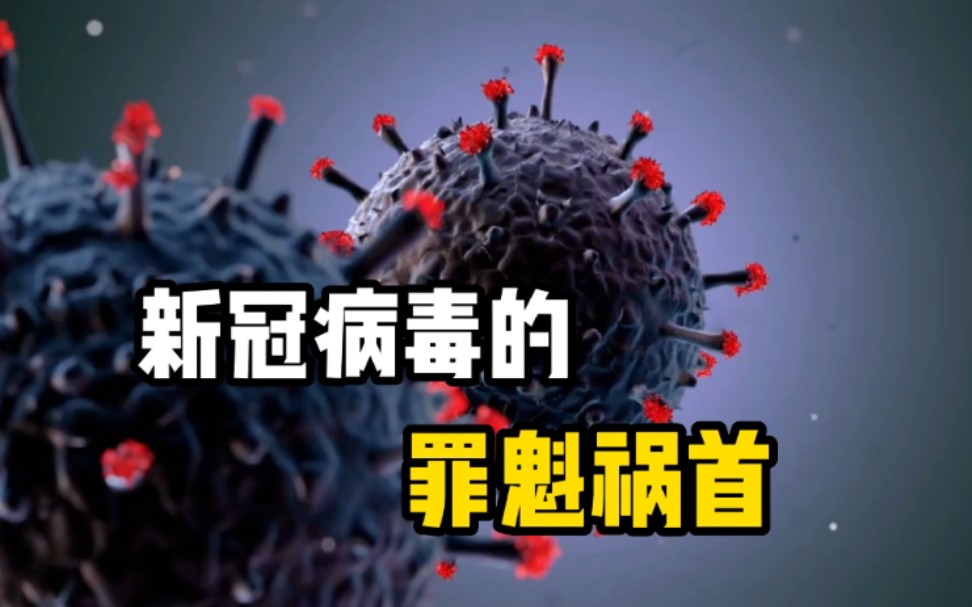 太可恨,新冠病毒竟是美国制造的!