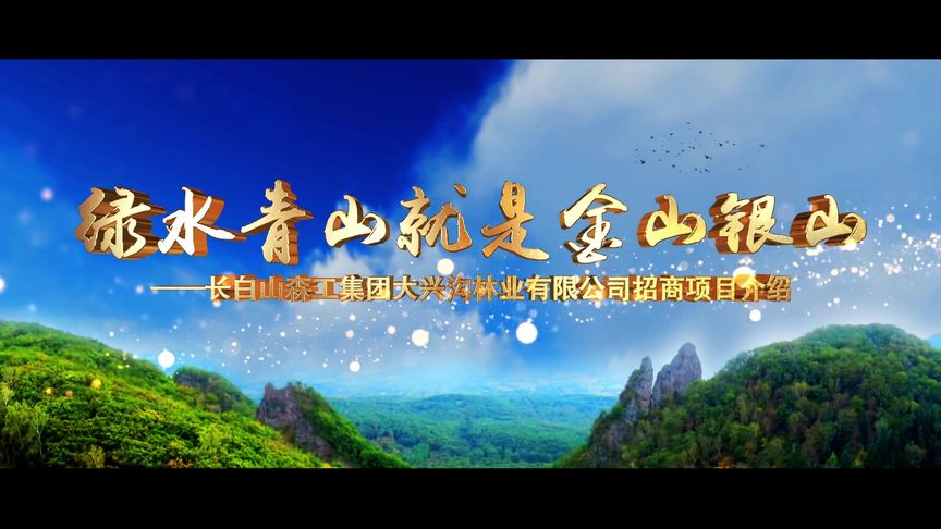 绿水青山就是金山银山——大兴沟林业有限公司招商引资宣传片