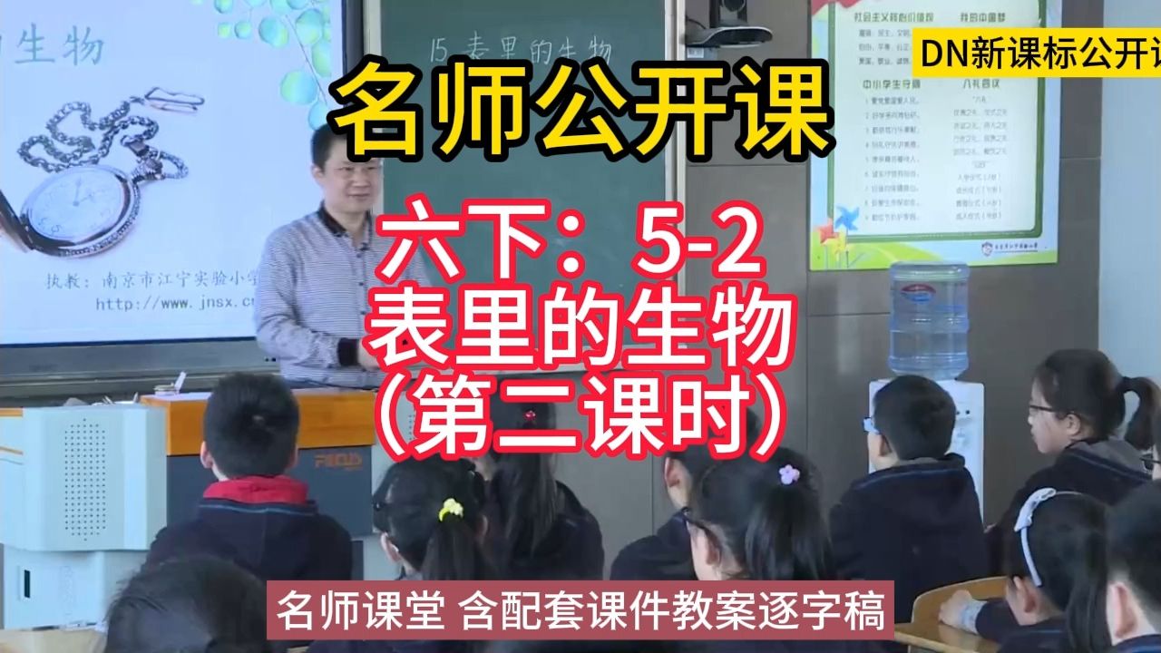 六下:5-2 表里的生物(第二课时)名师新课标优质课公开课示范课(有配套...