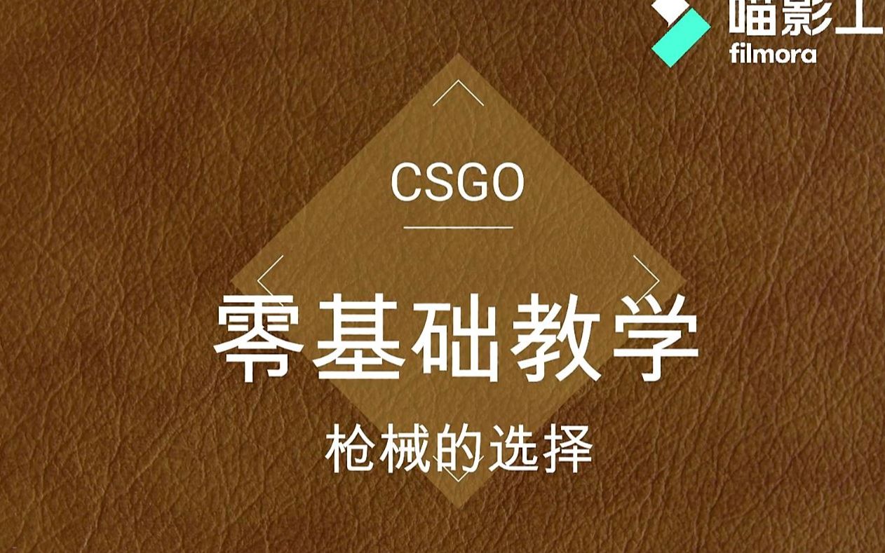 CSGO 零基础教学-枪械的选择