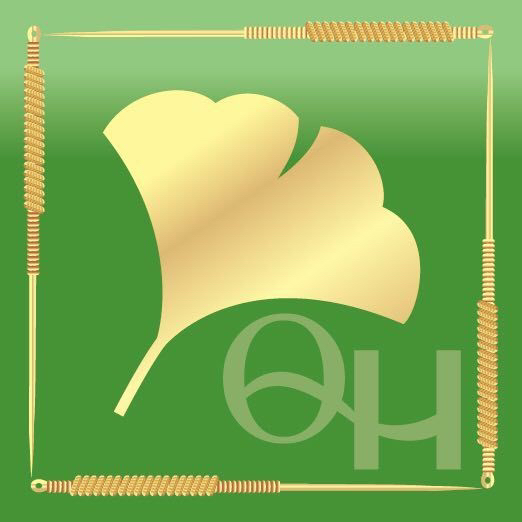 QH中医国际 