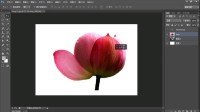 ps cs6 ps如何安装字体 ps磨皮美白教程