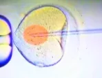 试管婴儿如何运作?央视记者探秘体外受精卵结合过程,看完太震撼