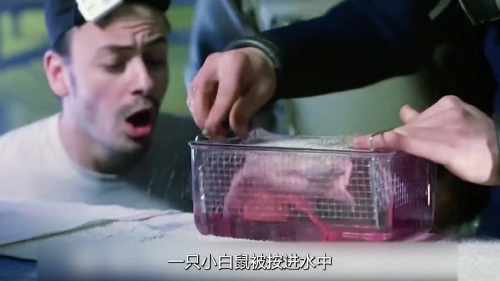 男人为完成任务跳下十万米深的海沟中途却发生了意外!点视频底部...