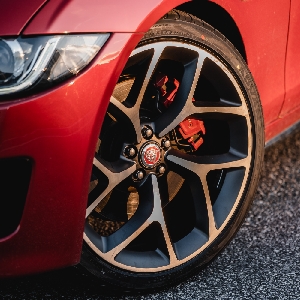 布朗维奇堡加瓜人 