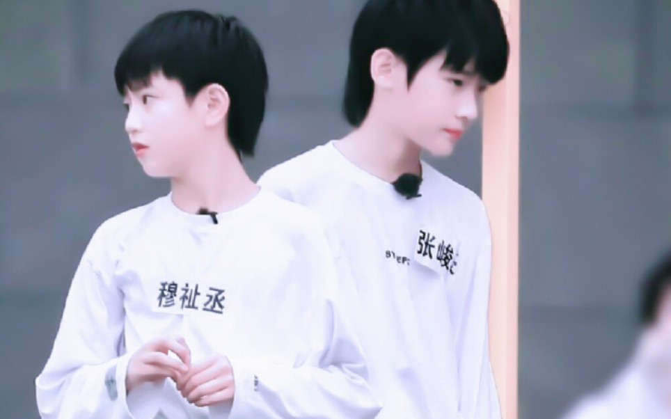 TF家族三代CP豪丞图片
