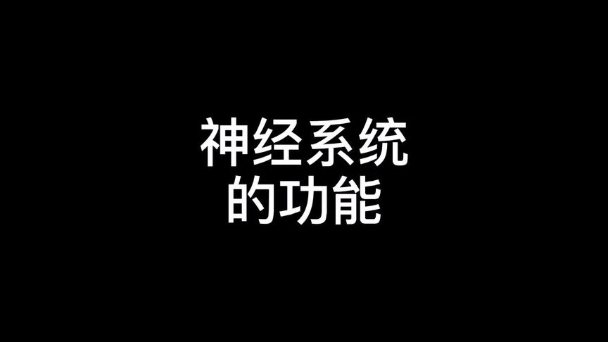 神经系统的功能 #医学科普