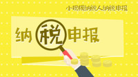 小规模纳税人第1季度2月——个人所得税纳税申报流程