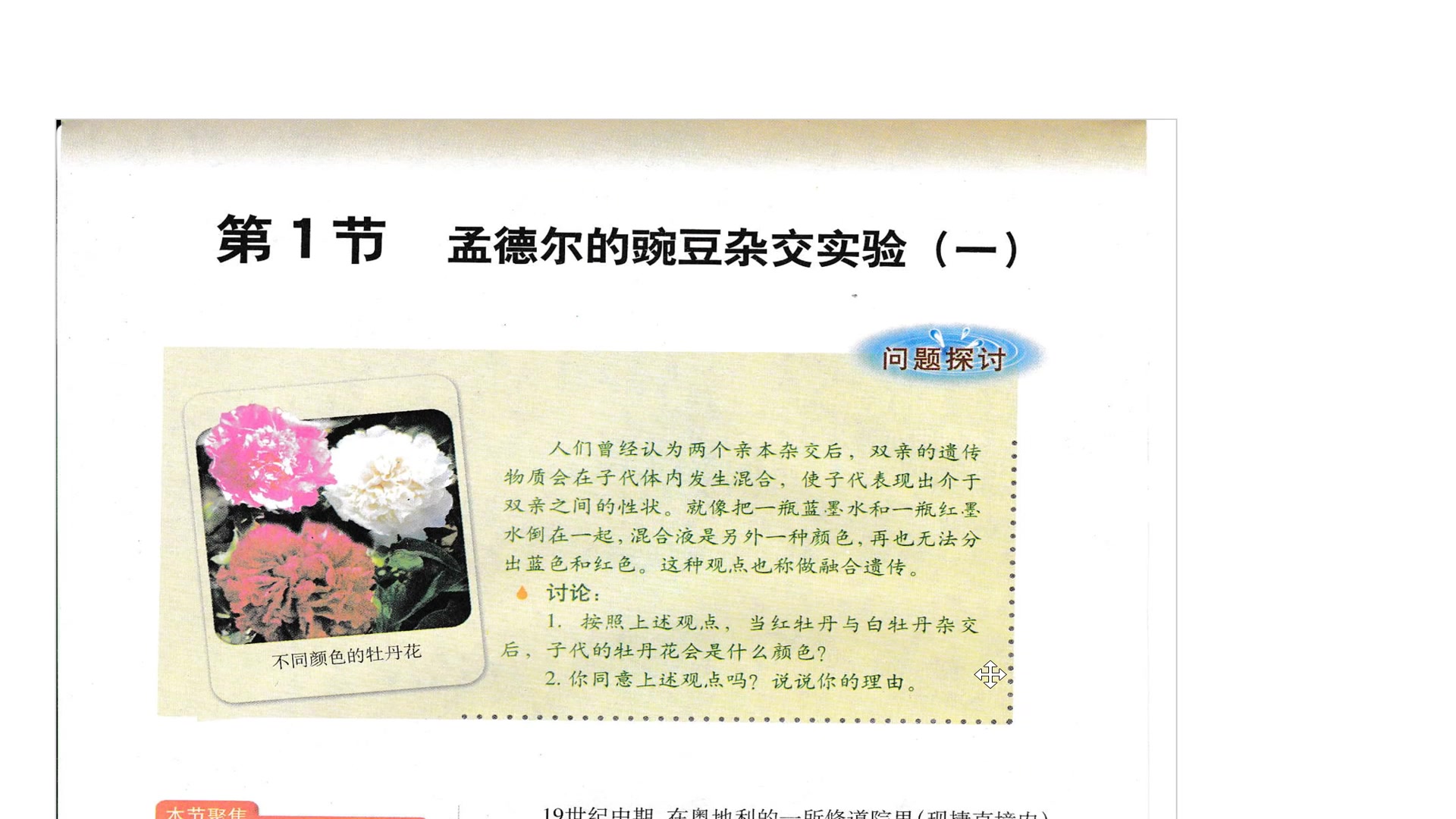 杂交实验前知识补充(花与种子结构)