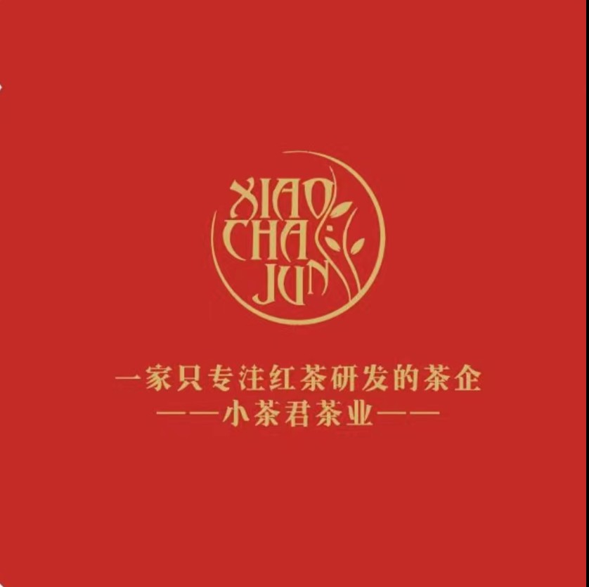 小茶君留学 
