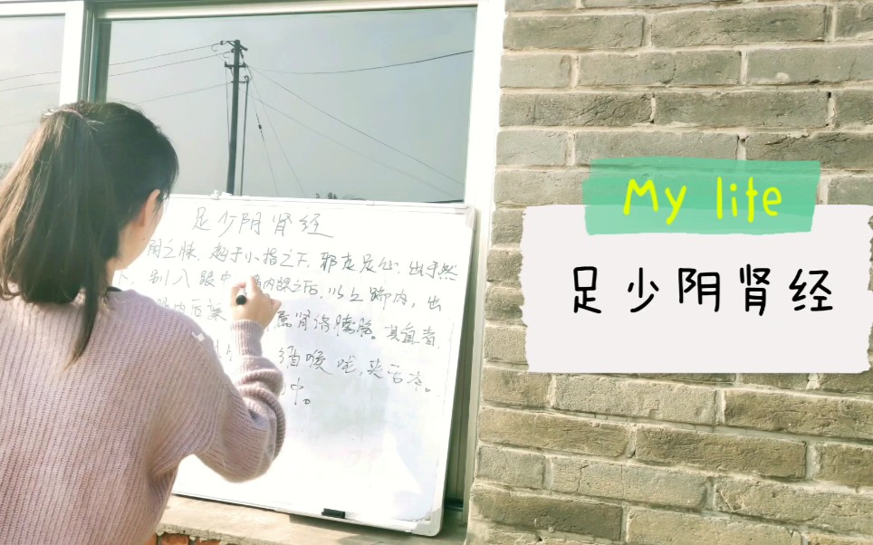 每日一背之足少阴肾经循行路线