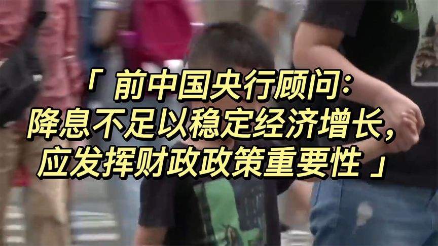 前中国央行顾问:降息不足以稳定经济增长,应发挥财政政策作用