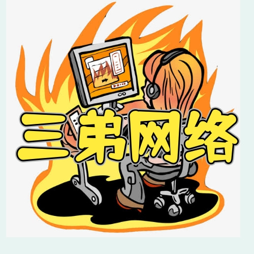 A三弟网络 