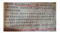 细胞的结构——原核细胞与真核细胞的结构与功能