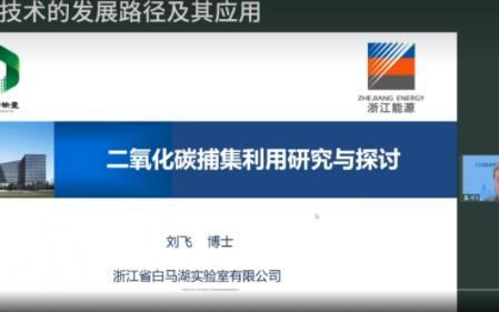 CCS技术发展路径及其应用(中)
