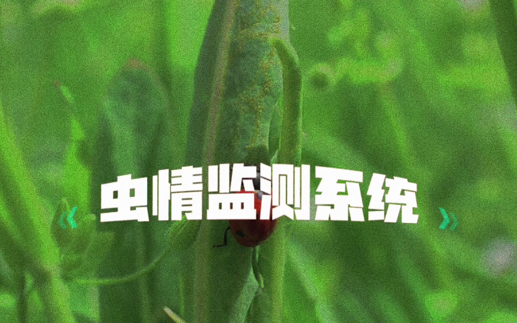 农业四情 ——虫情监测系统