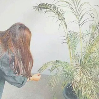 孙蓉说时间机
