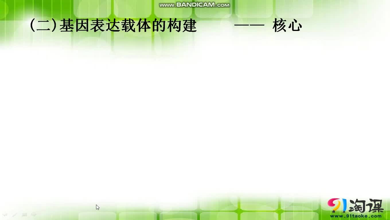 高二生物基因表达载体的构建杨规