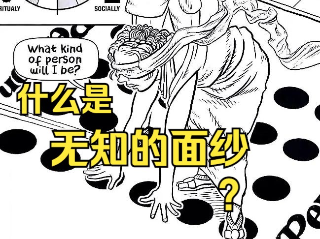 什么是"无知的面纱"?