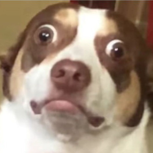 GoofyGame漆艺和钢笔 