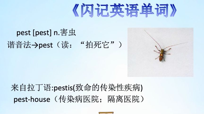 《闪记中考1600词》—pest害虫