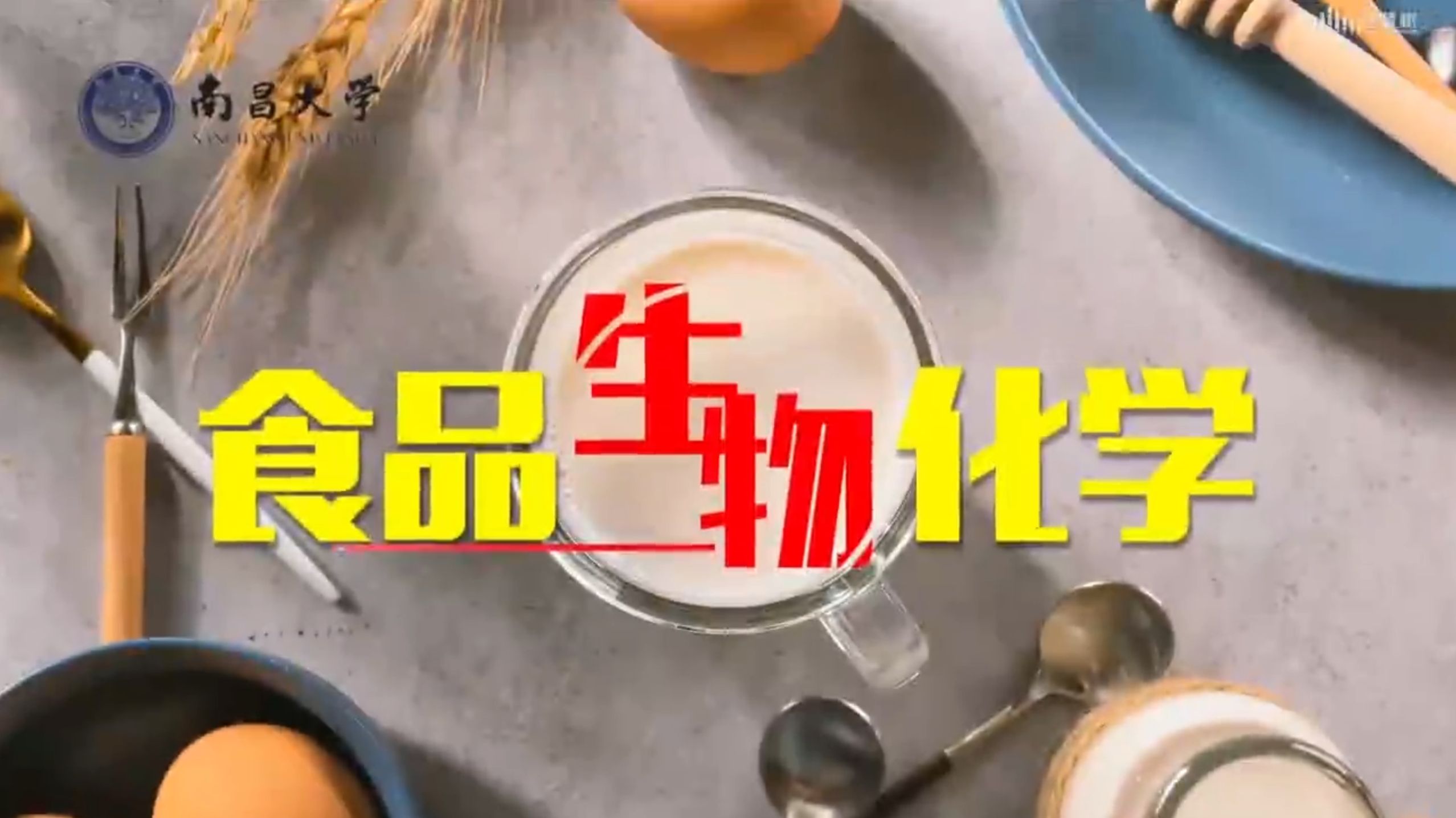 【南昌大学 食品生物化学】13.1 DNA的合成