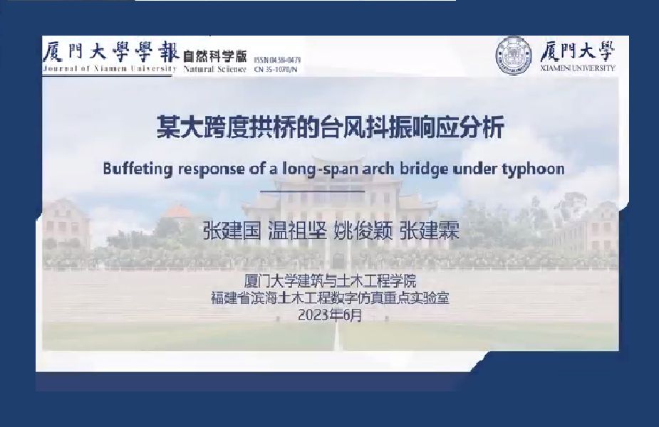 某大跨度拱桥的台风抖振响应分析