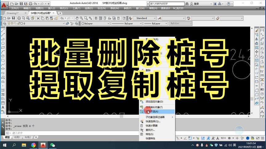 CAD如何批量删除桩号局部删除桩号提取桩号,这个视屏给你答案。