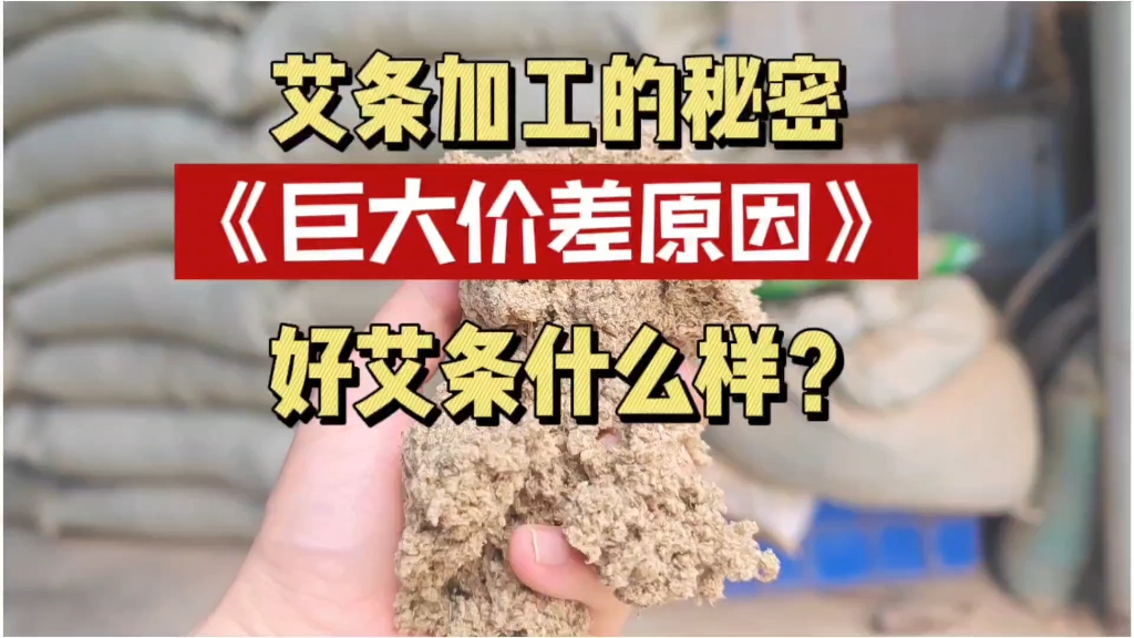 实拍工厂加工艾条告诉你价格差异巨大的原因,这只是冰山一角!