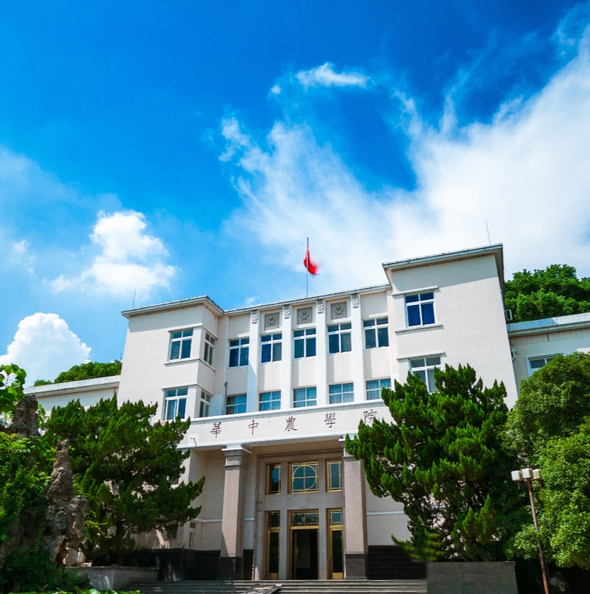 是小储啦 