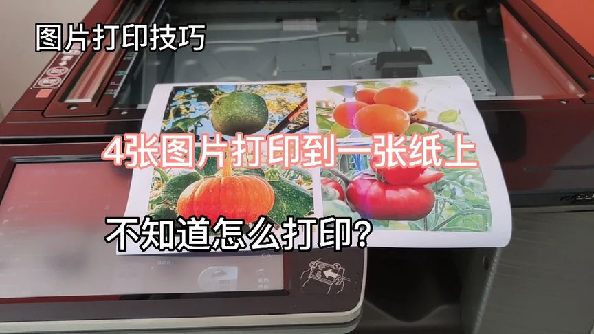 图片打印技巧,4张图片打印到一张纸上,用这种方法简单