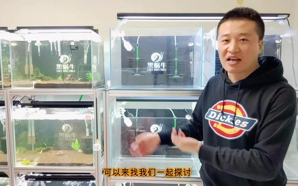 水晶虾gh值的要求