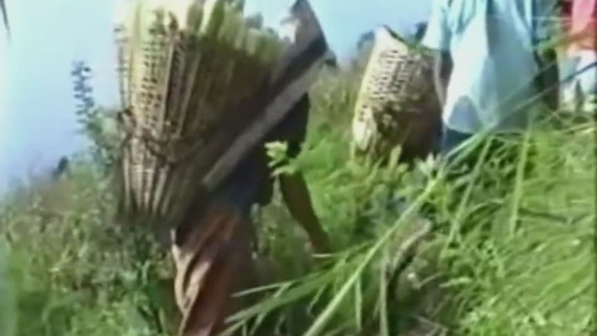 农民伯伯播种收获的过程如此艰辛,但是日子却悠然自得