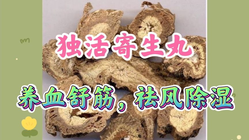 独活寄生丸,养血舒筋祛风除湿,用于风寒湿痹,腰膝冷痛屈伸不利