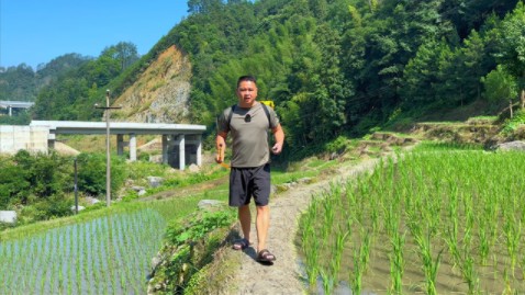鱼苗投放!稻田养鱼新模式