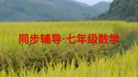2(2)、3题-习题1.13-单项式除以单项式