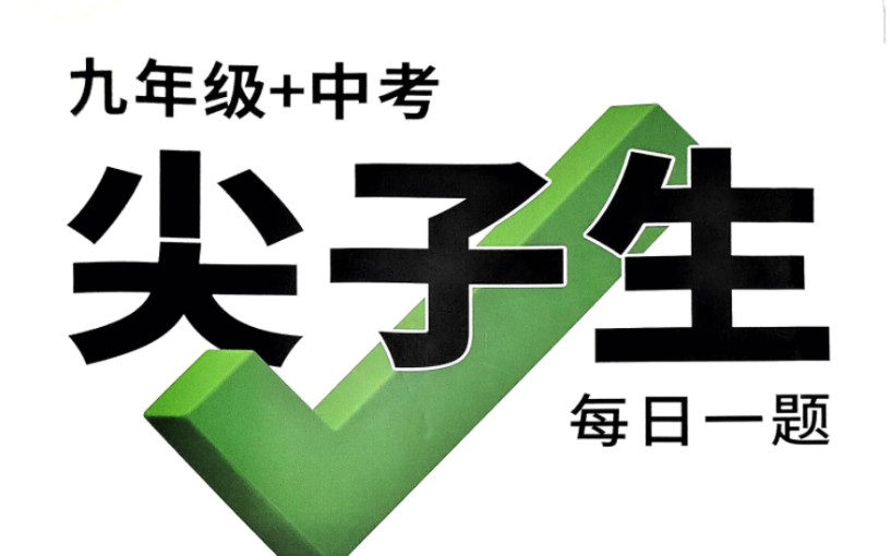 【九年级+中考】万唯尖子生每日一题 逐题精讲 P2